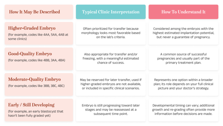 Understanding Embryo Grading Charts | Joy of Life