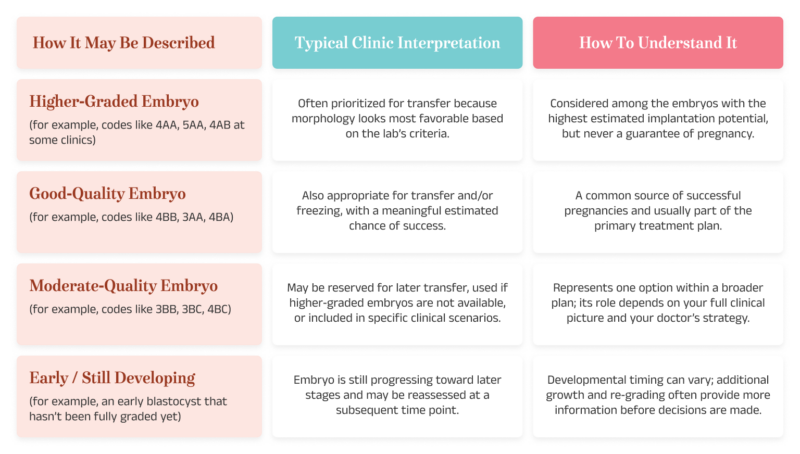 Understanding Embryo Grading Charts | Joy of Life